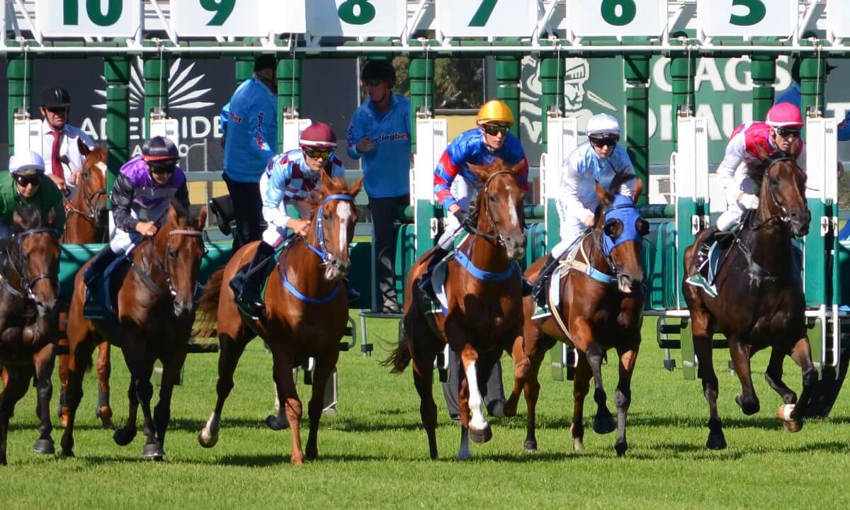 Handicap and non-handicap horse racing